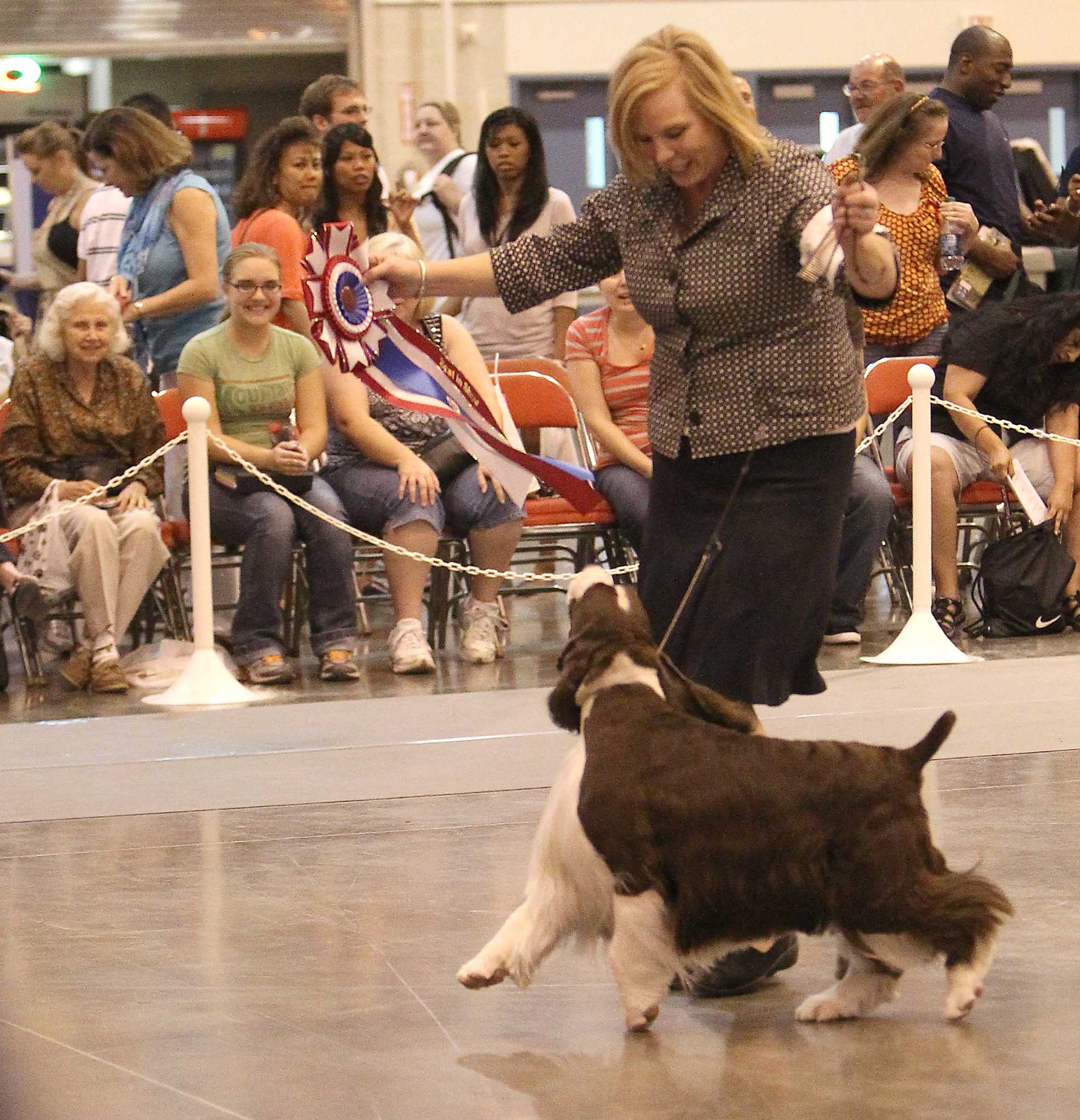 Competitive canines shine at dog show