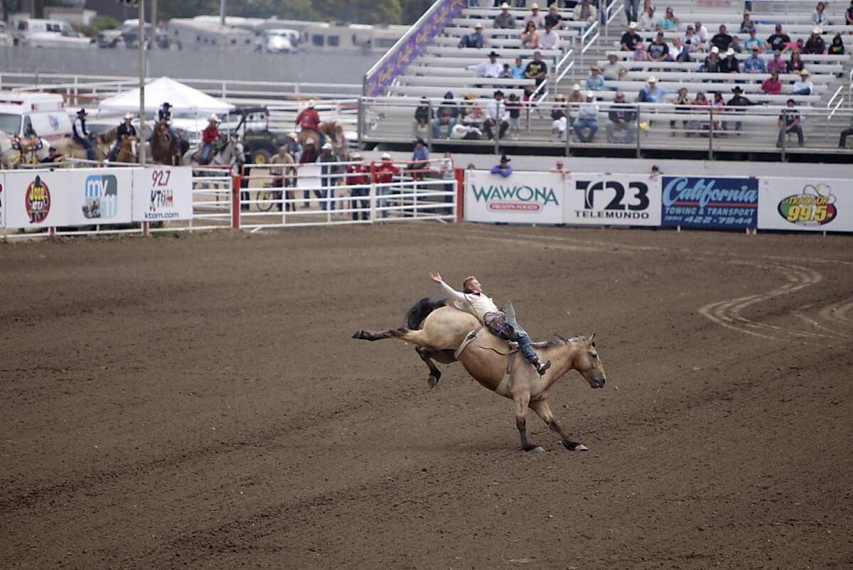Horsing around at Salinas rodeo