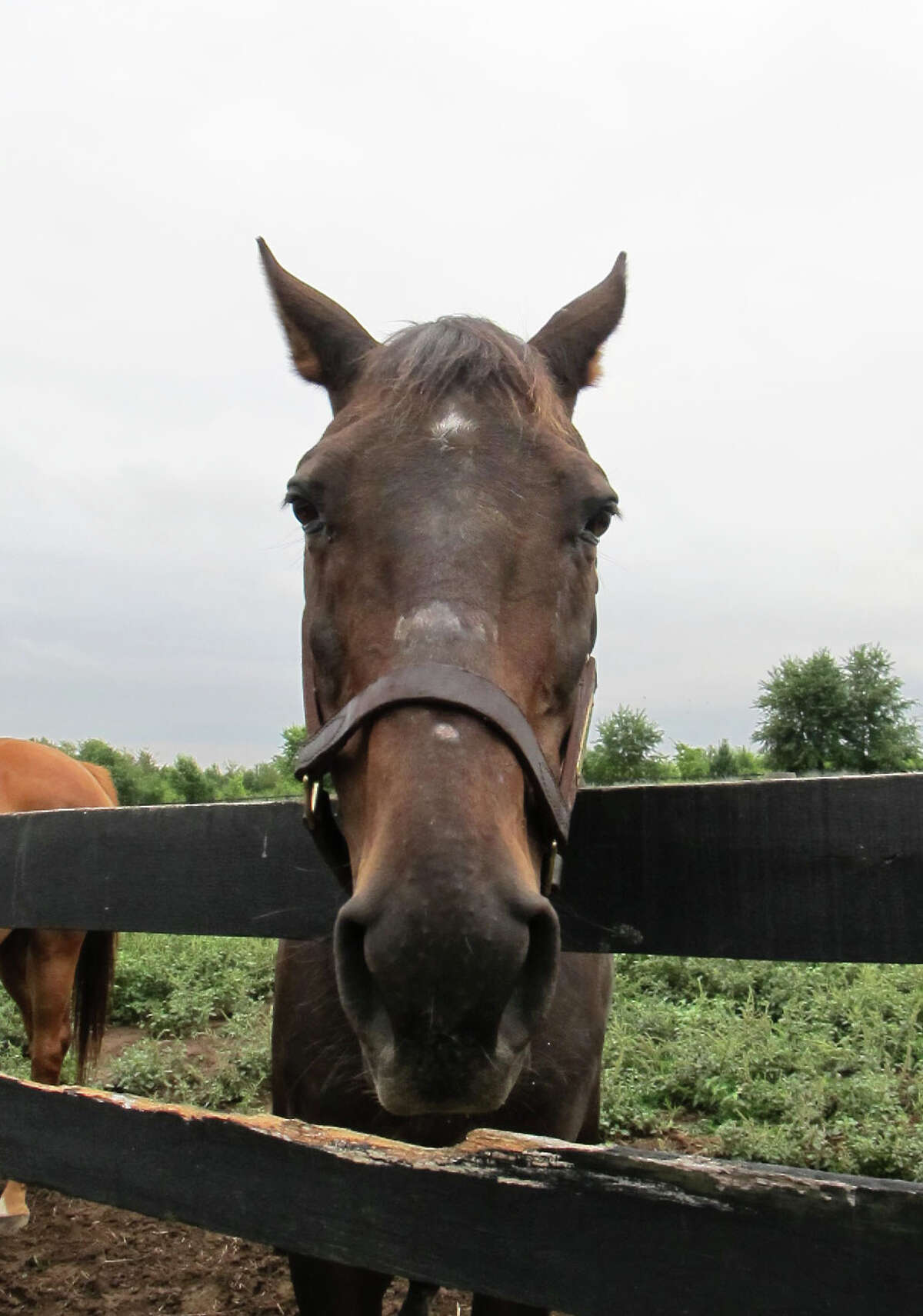 Who's the winner now?