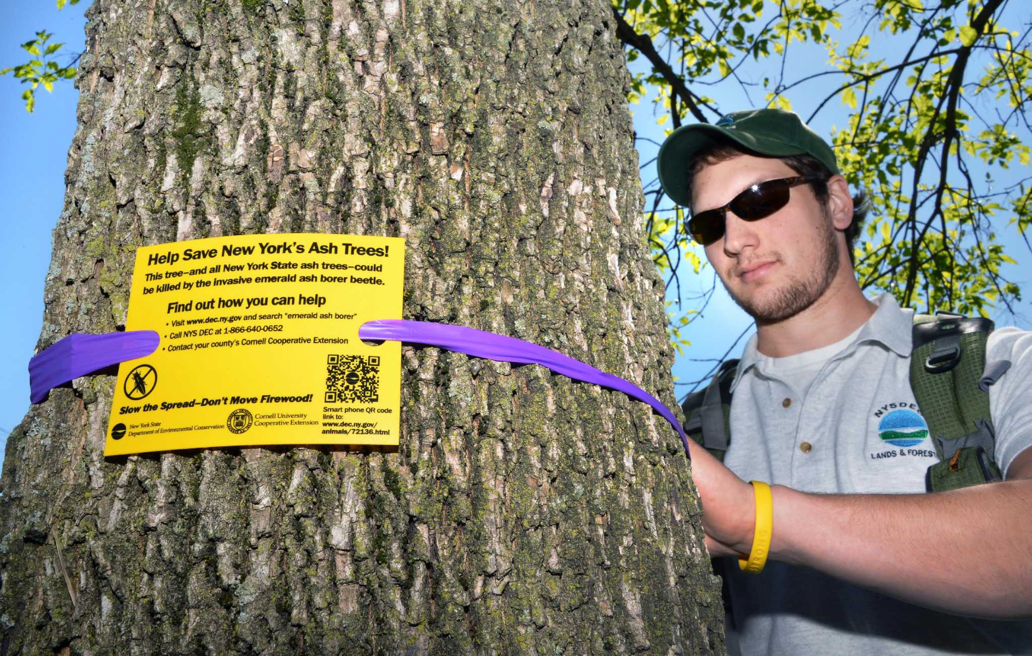 Law steps up pest control