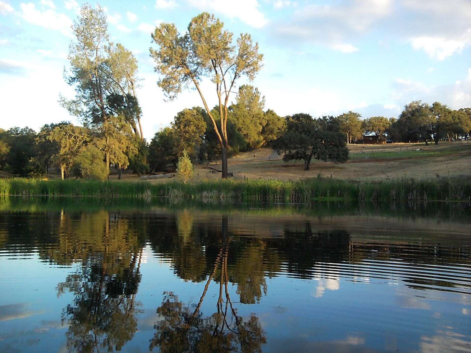 Fun to pursue big fish in small pond