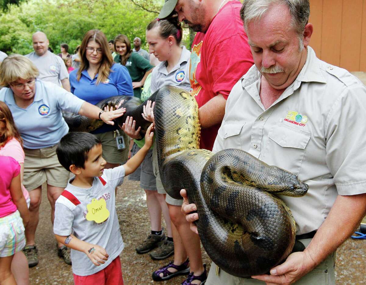 How to measure an anaconda
