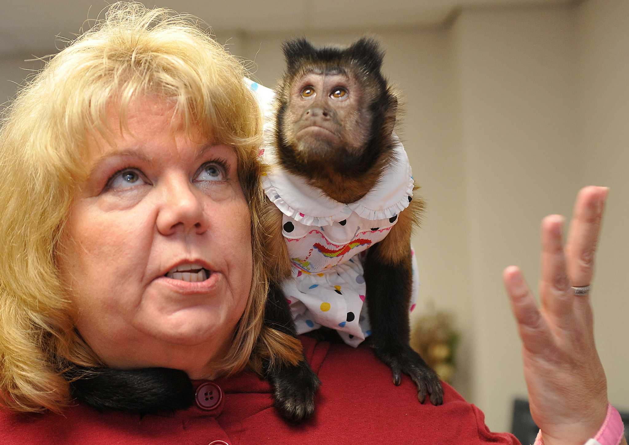 This Jeff Co. custody case is 'Monkey Trouble'