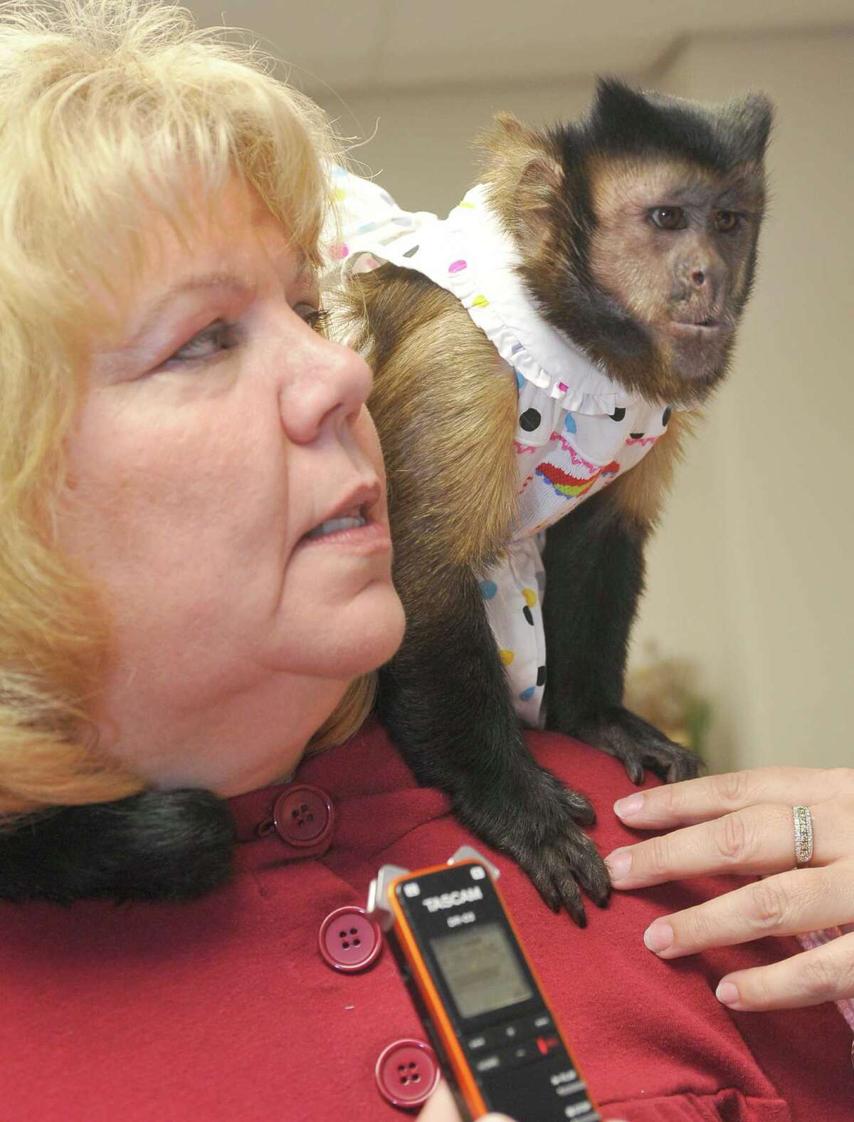 This Jeff Co. custody case is 'Monkey Trouble'
