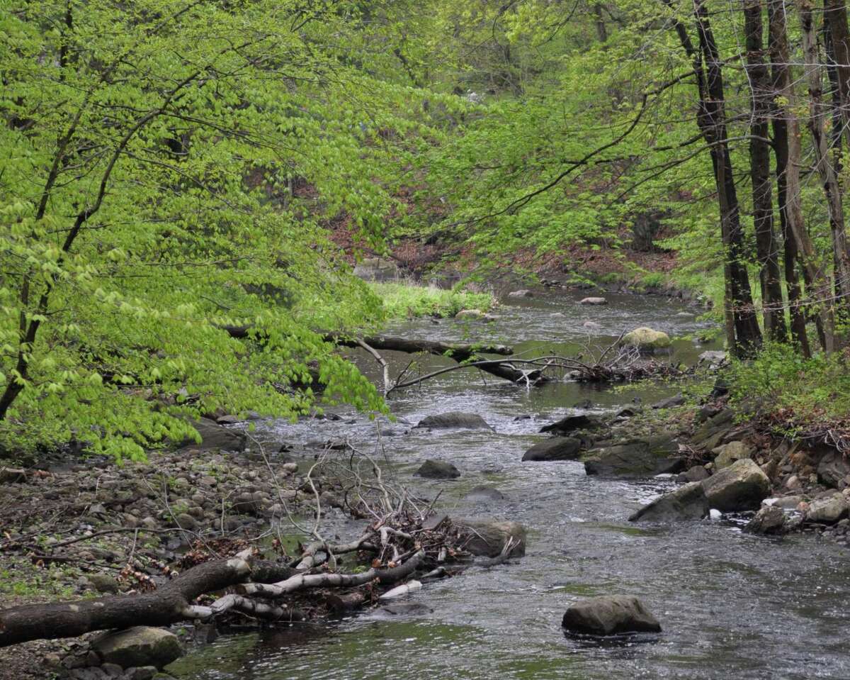 Ceremony to mark completion of Five Mile River Watershed Plan