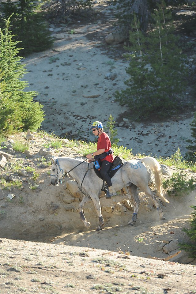 Going the distance with endurance riding