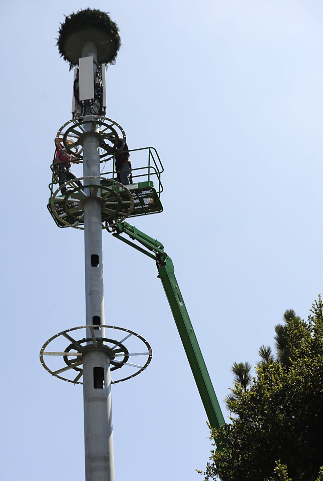 Phallic cell tower gets a makeover
