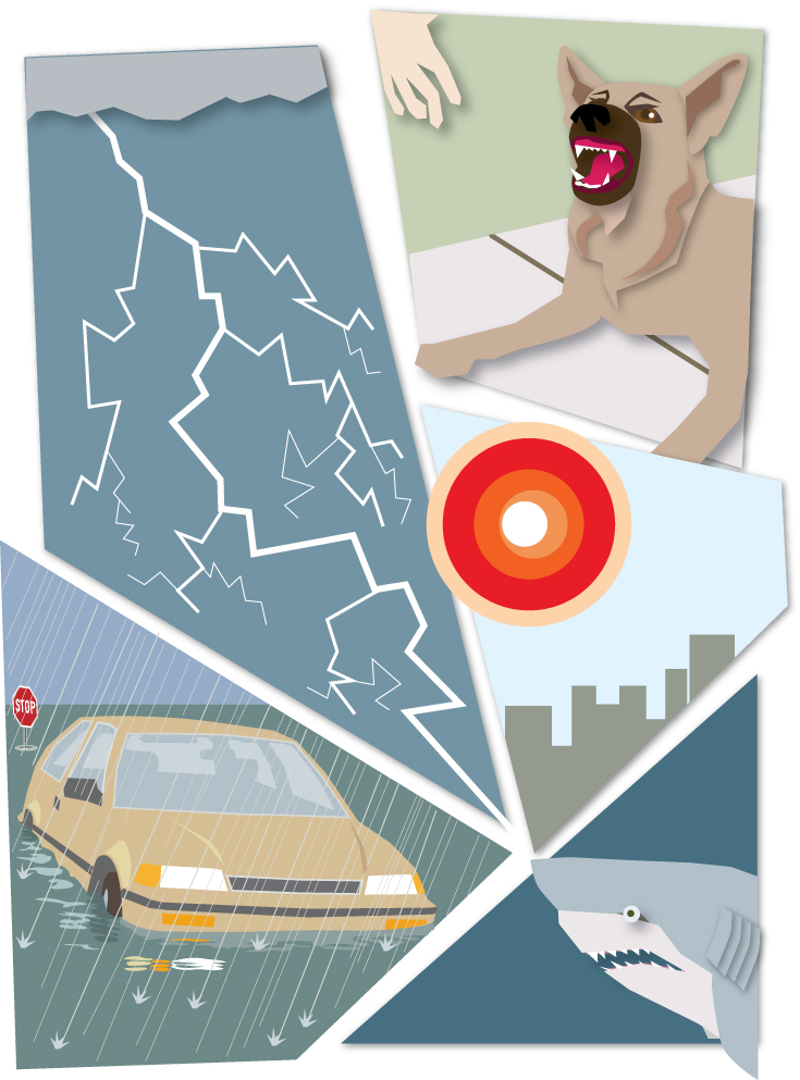 How to survive elements, animal attacks