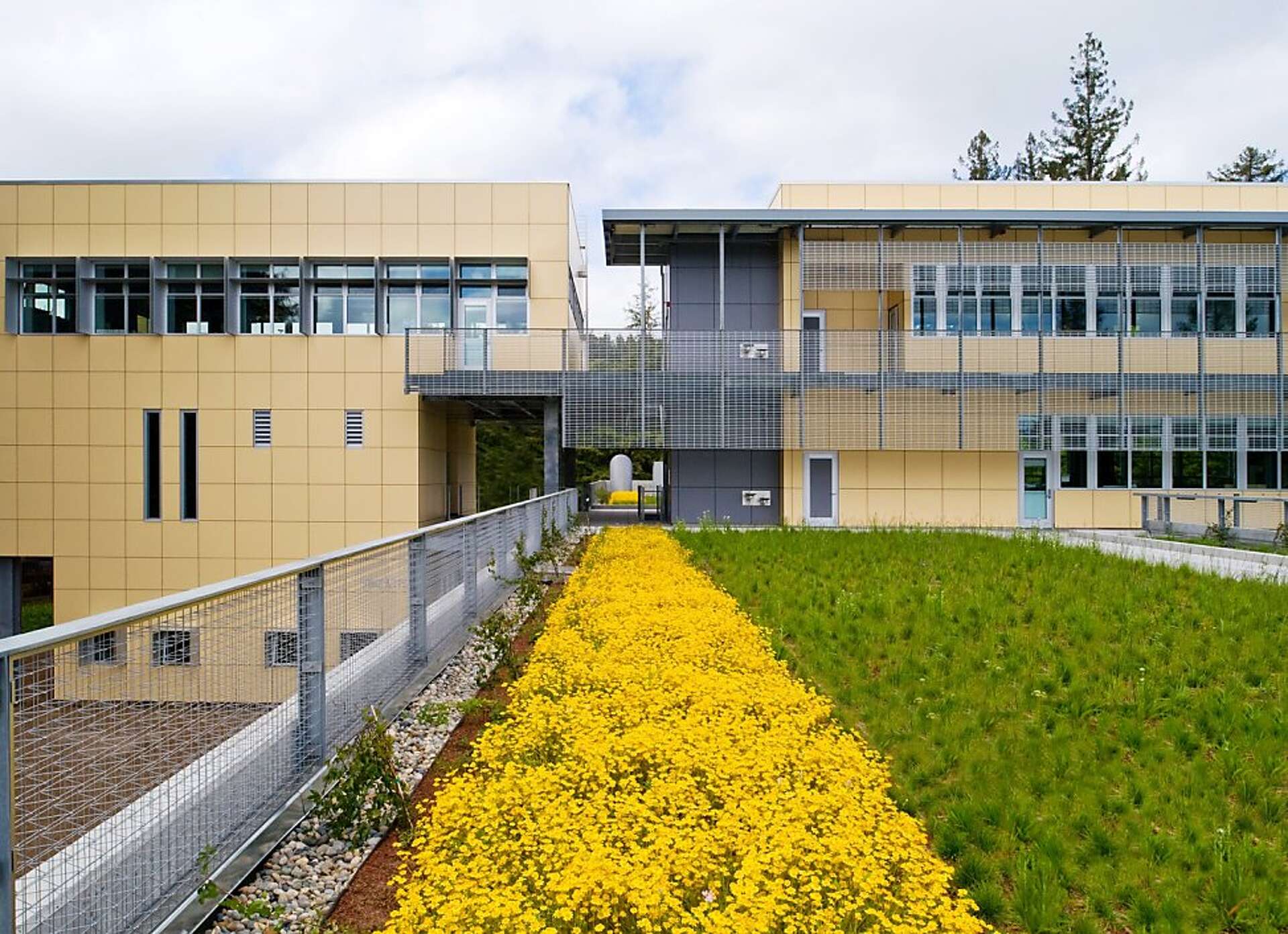 Green's sharp design move: sunshades