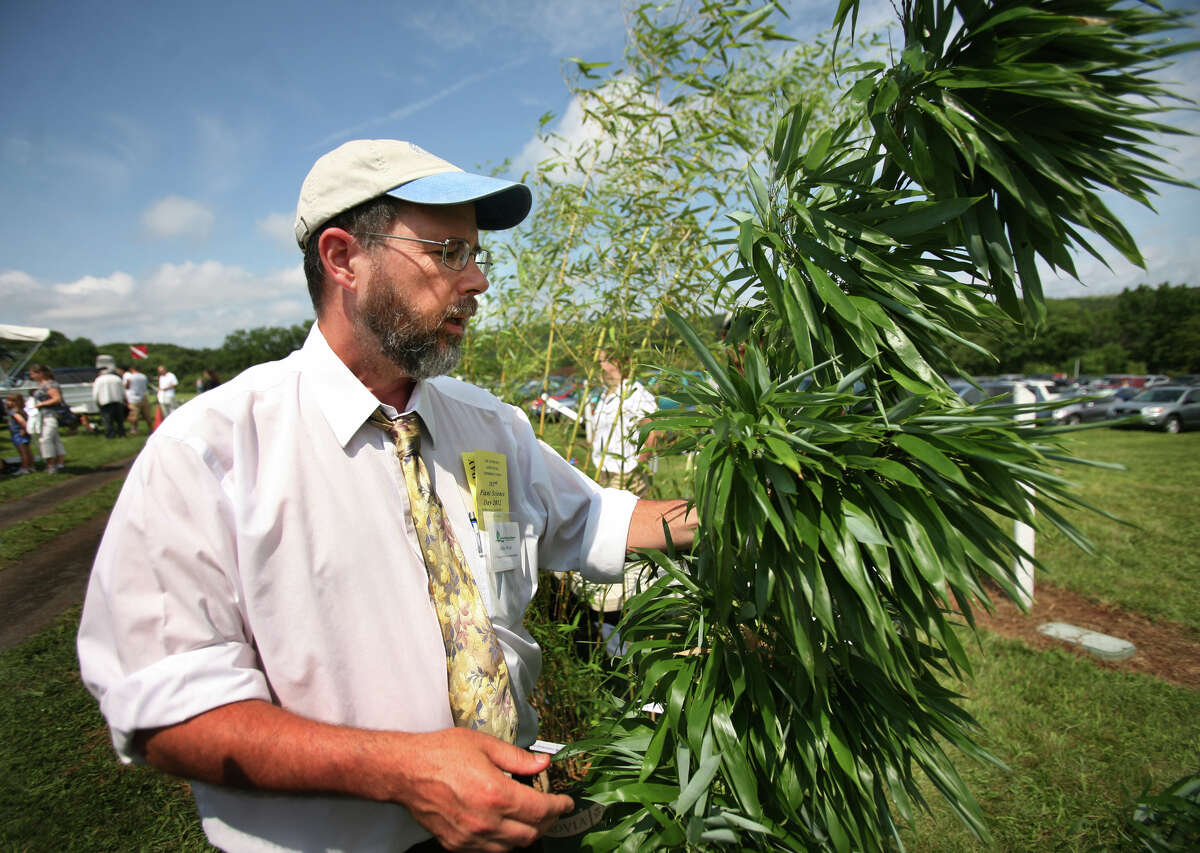 Invasive plants, insects take center stage