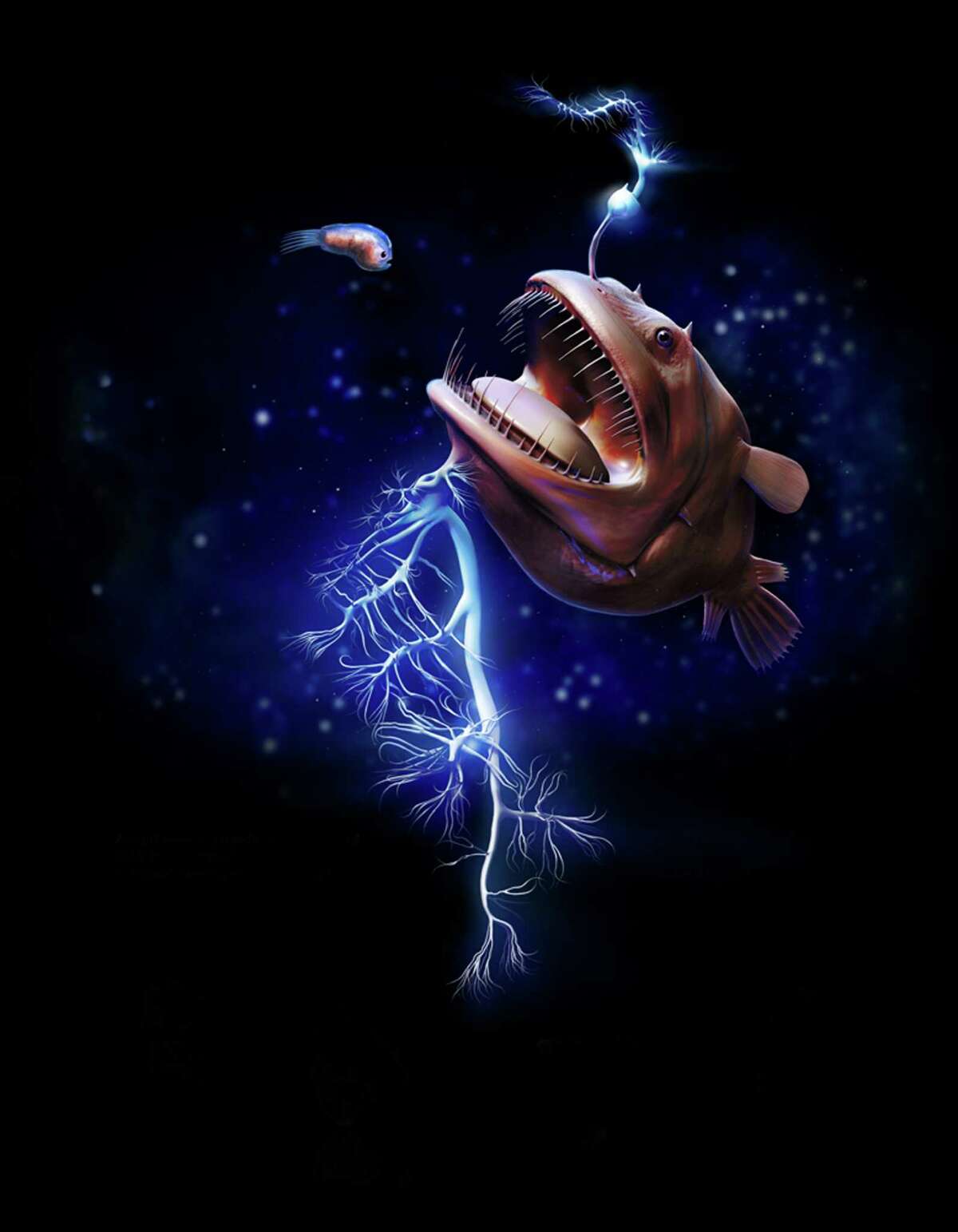 State Museum's 'Forces of Nature' exhibition celebrates vital art of ...