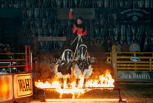 'Equine extremist' Tommie Turvey in Newtown for Horse Guard benefit