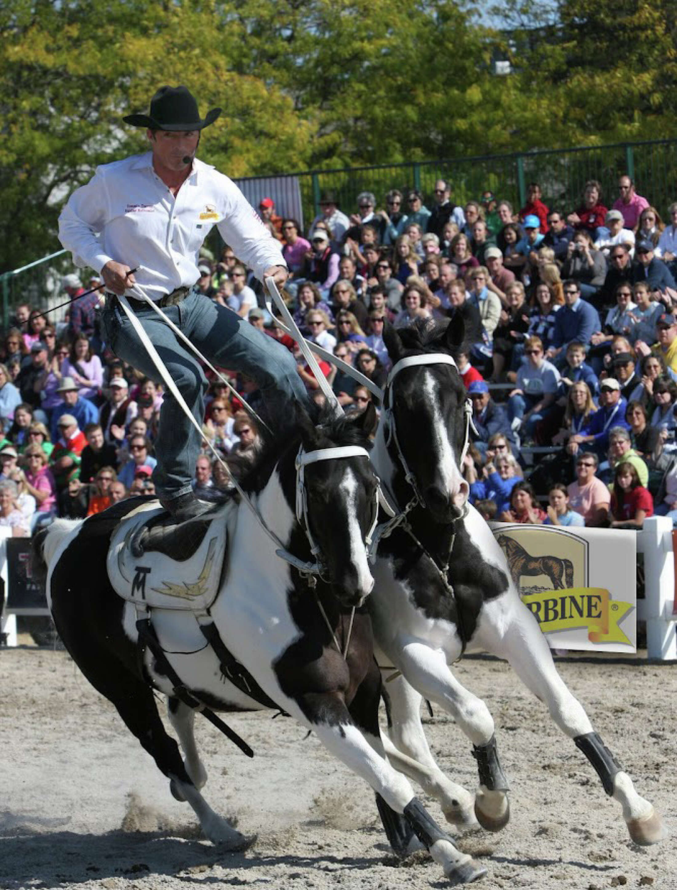 'Equine extremist' Tommie Turvey in Newtown for Horse Guard benefit