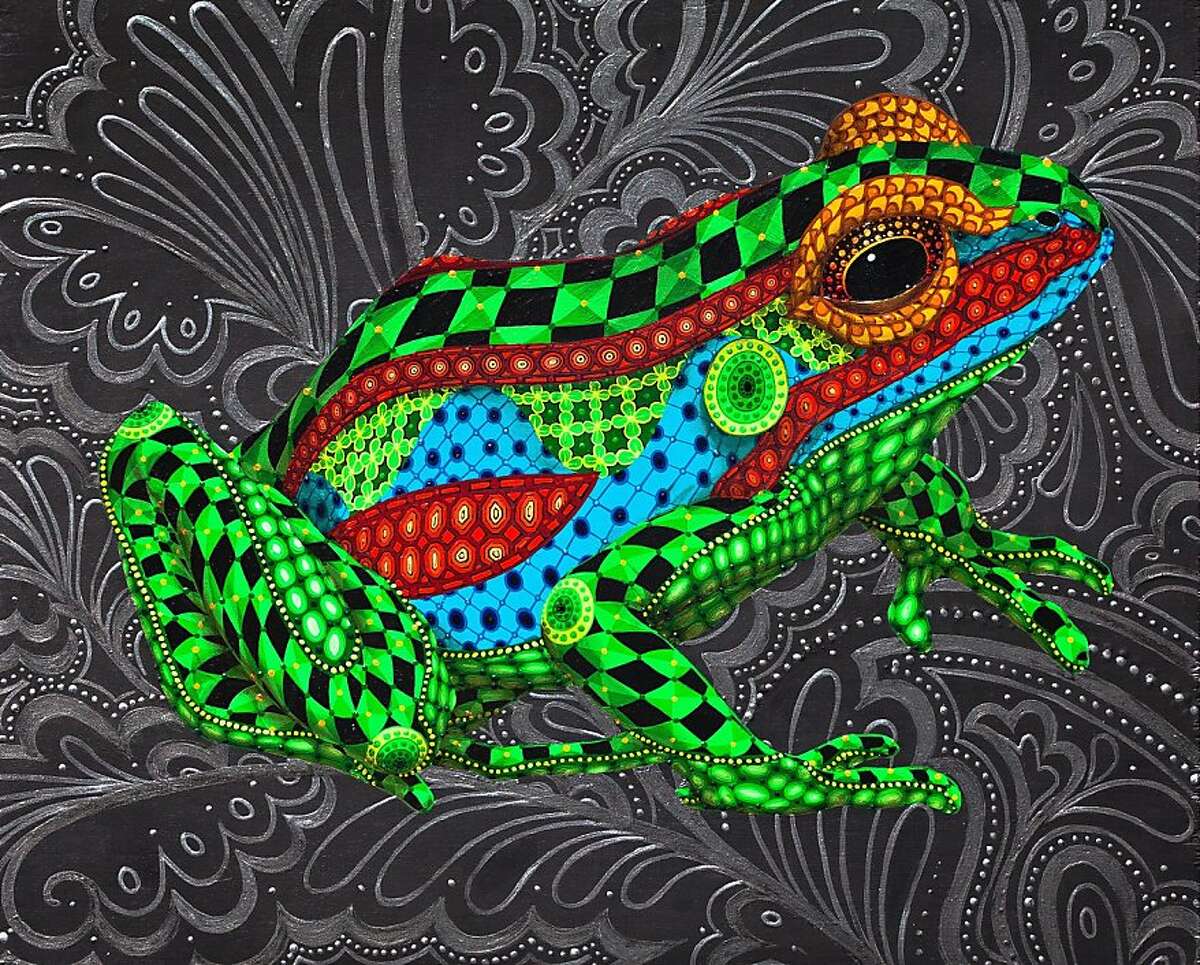 'Microblast': Couple's natural evolution