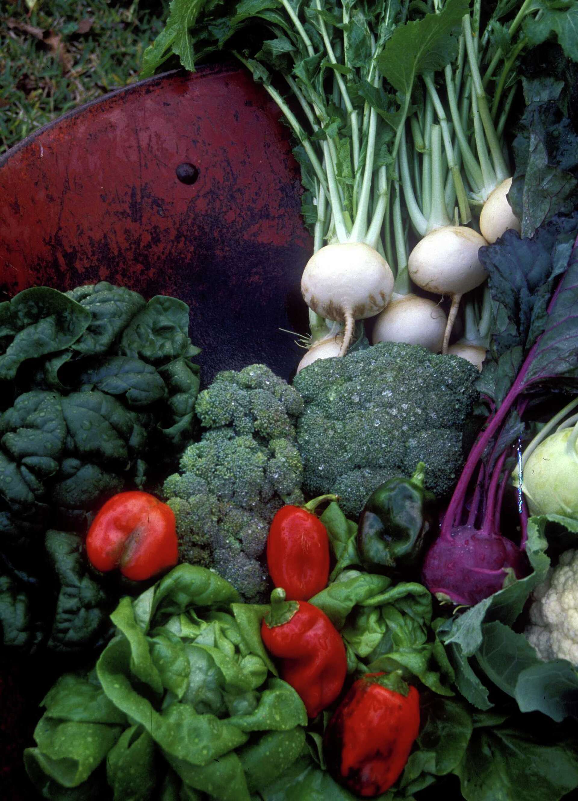Find success with your fall vegetables