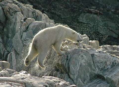 Labrador: Safari to edge of the world