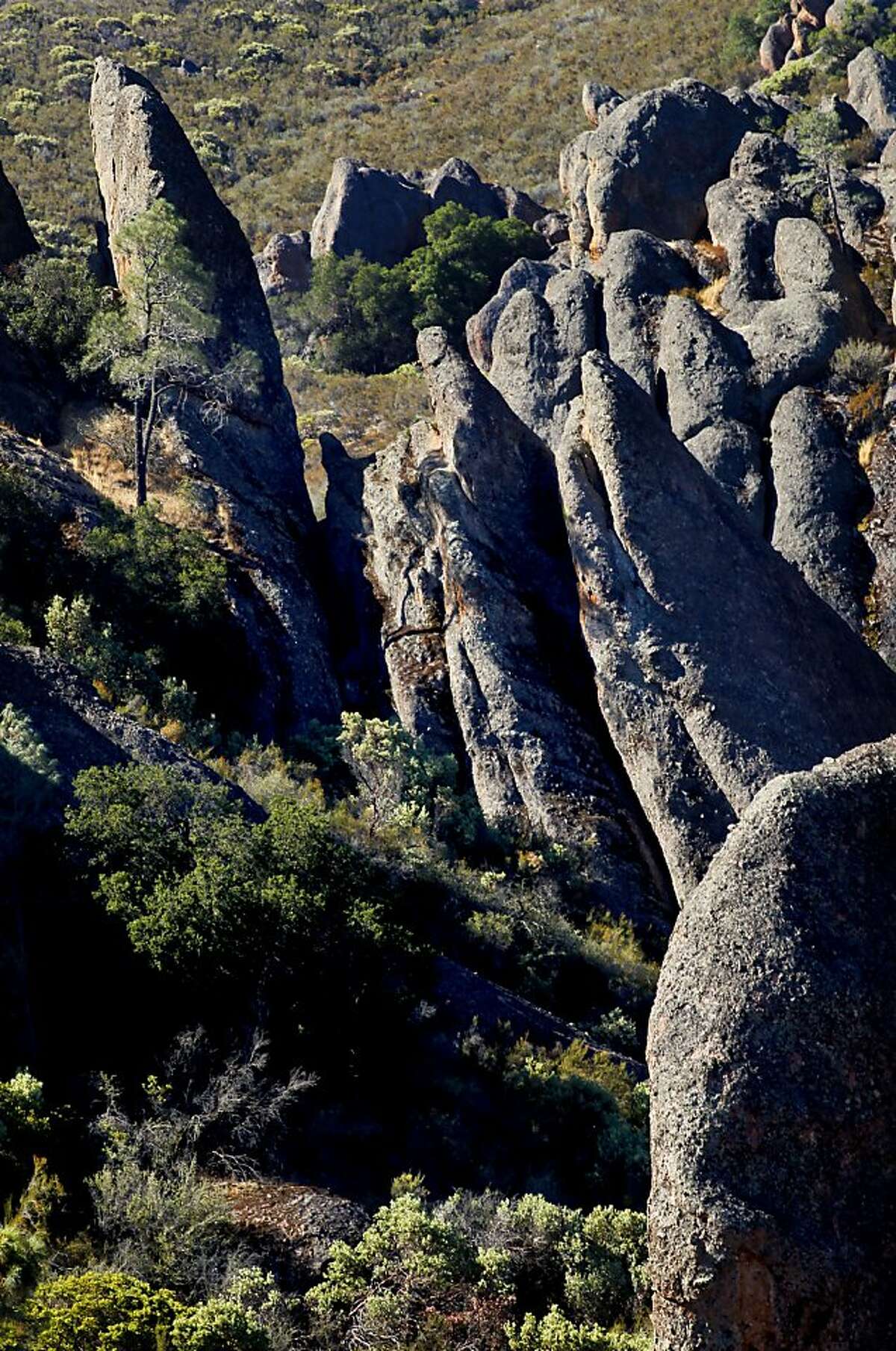 Pinnacles park: Preserve the vibe