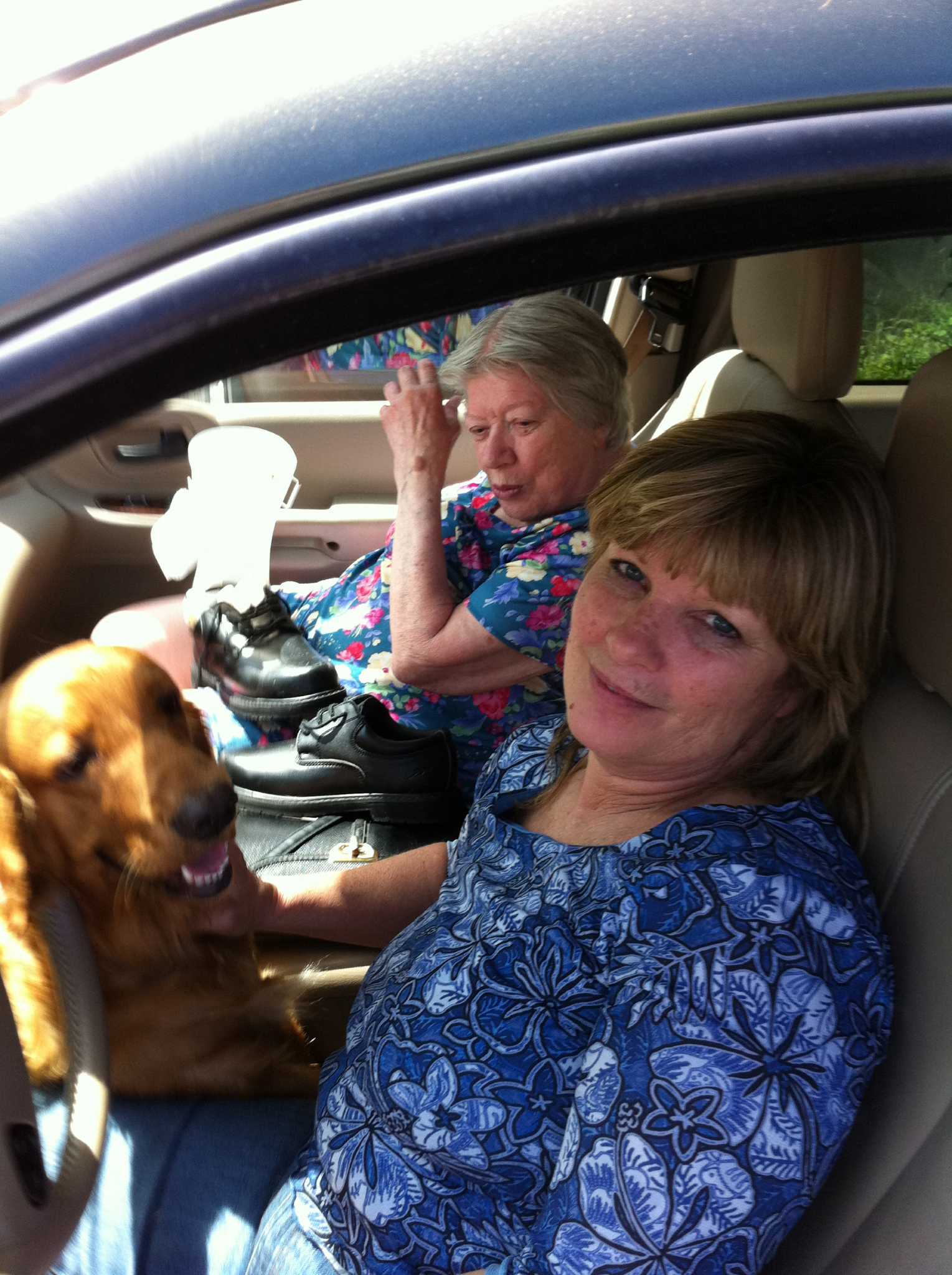 Troy cop rescues woman from blaze