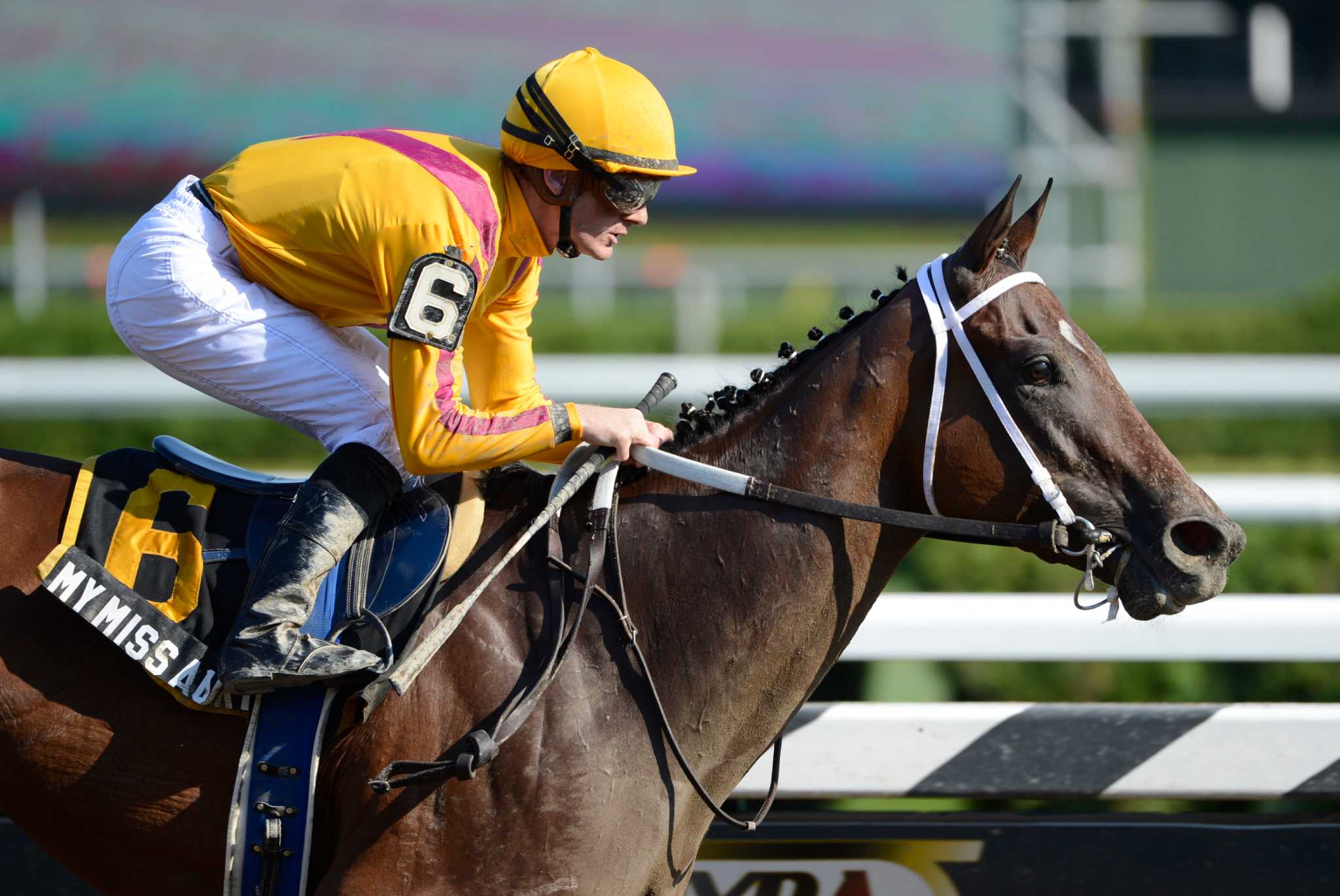 Security boost for Travers horses