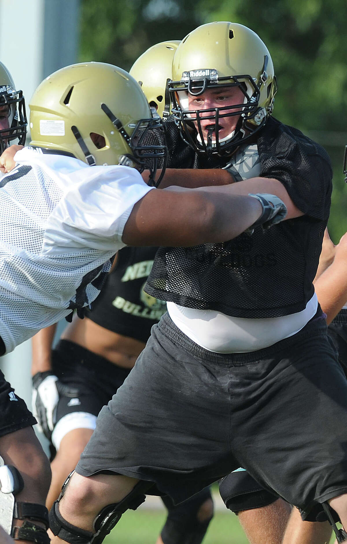 Nederland hopes to repeat, extend last season's success