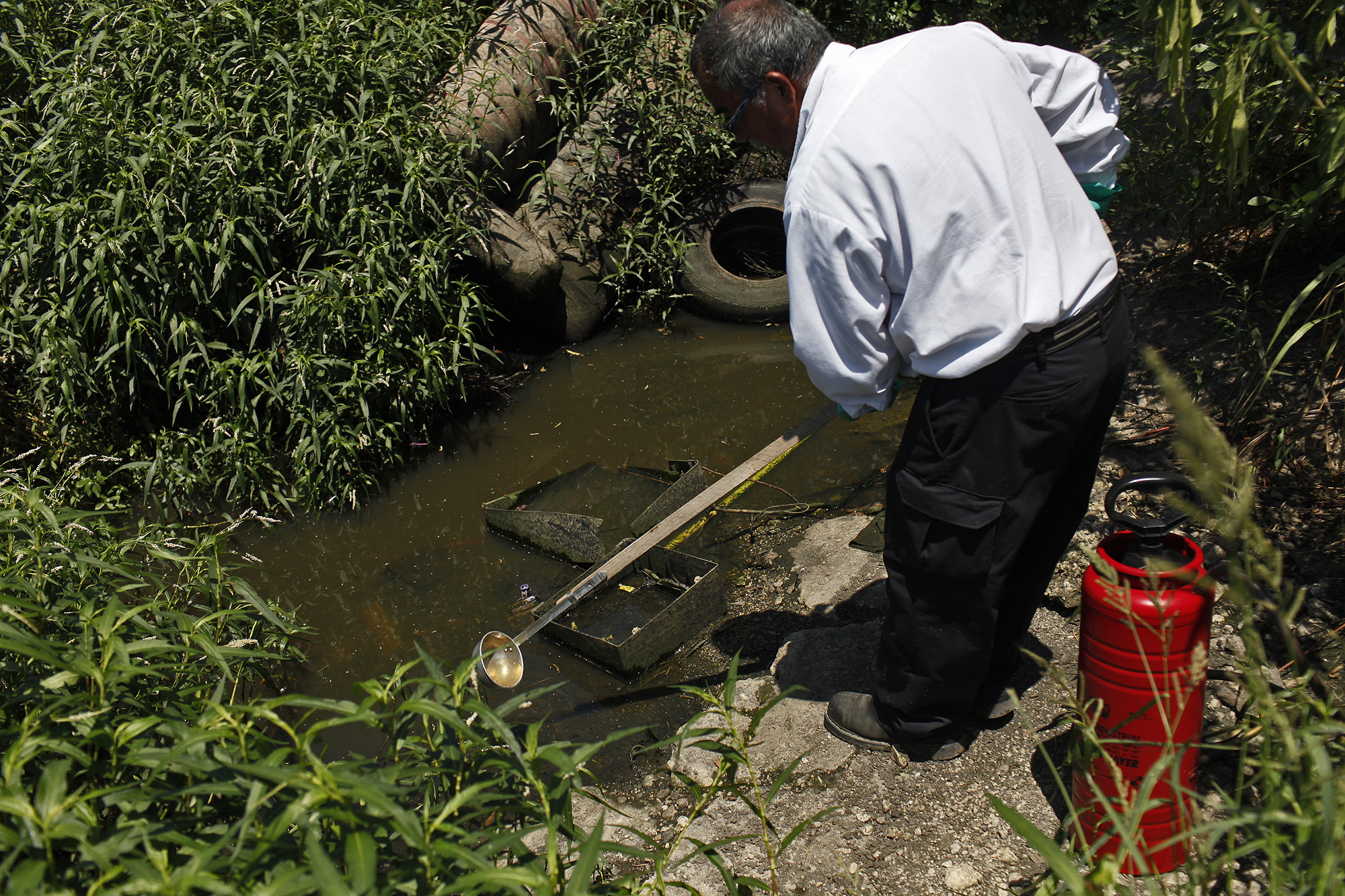 City's mosquito-fighting jobs targeted