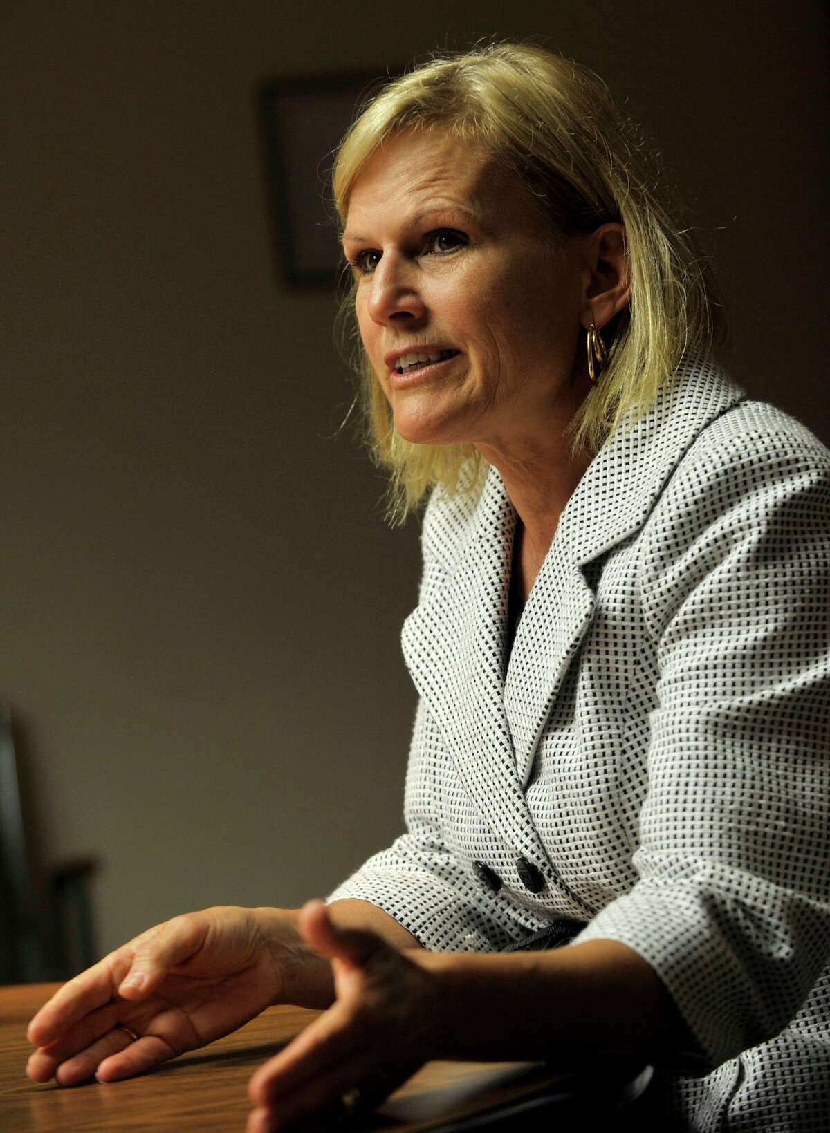 5th District a "smorgasbord" of candidates