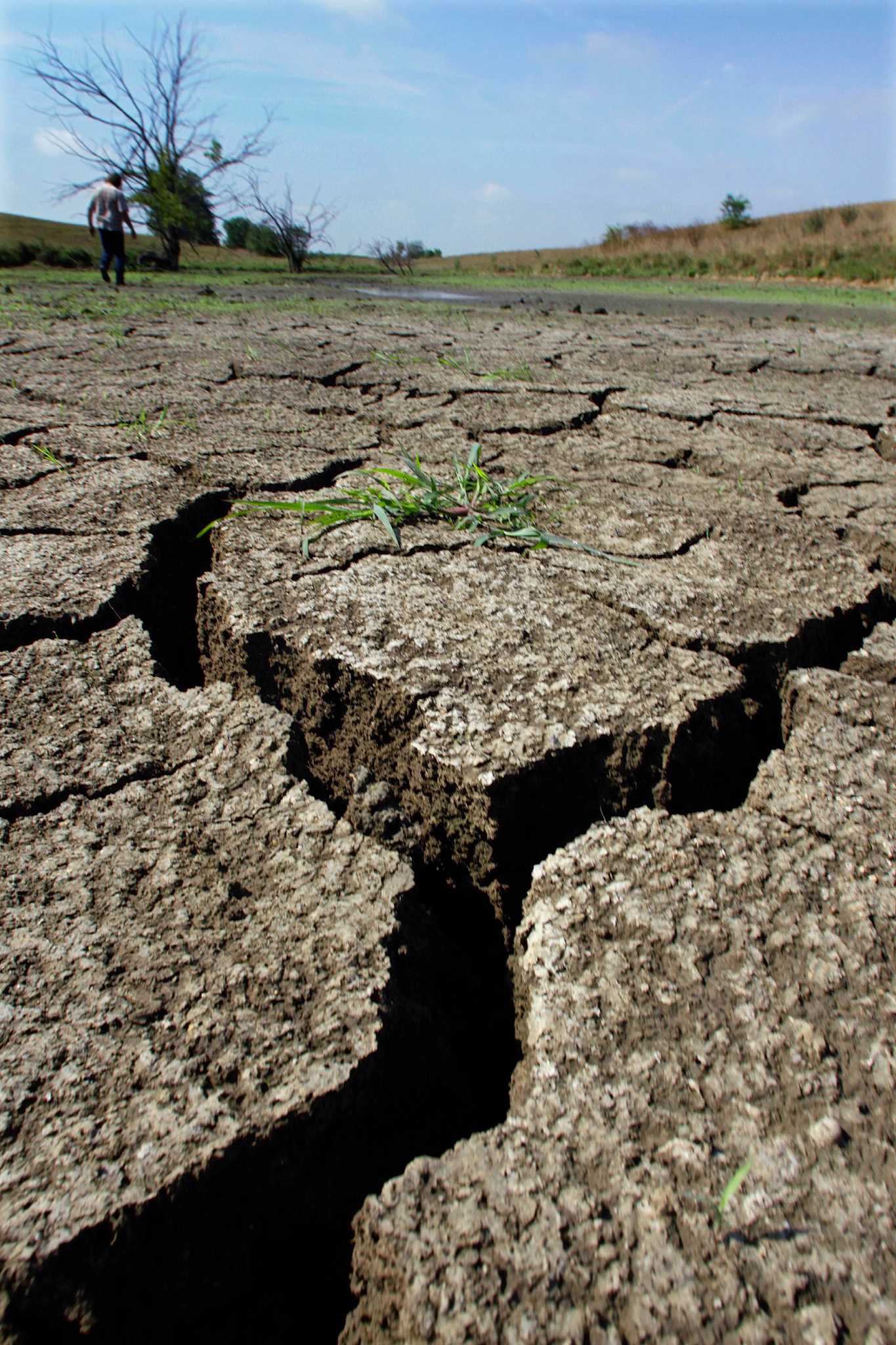 Woe and opportunity: Tales from historic drought