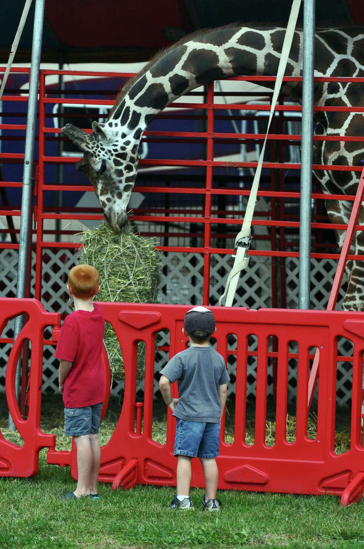 Altamont Fair: Where farming meets fun