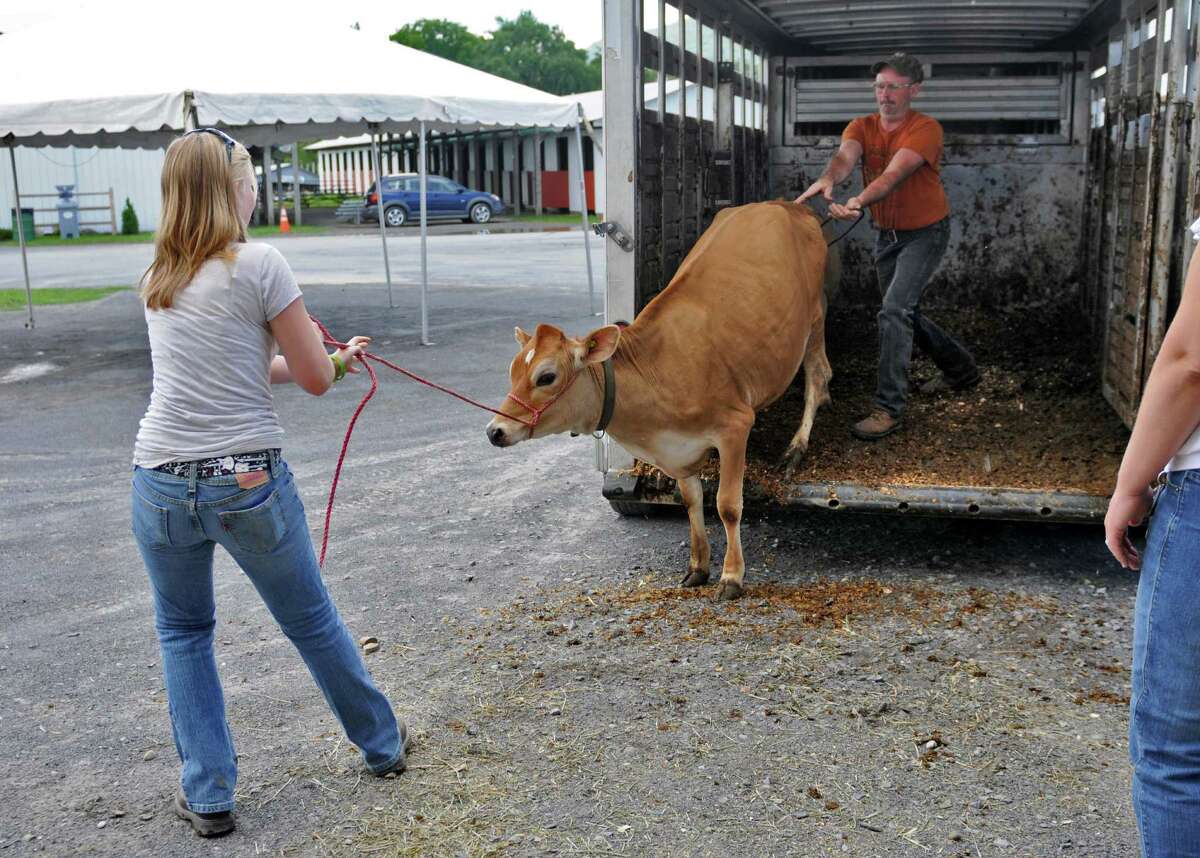 Altamont Fair: Where farming meets fun