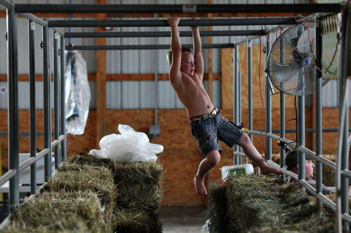 Altamont Fair: Where farming meets fun