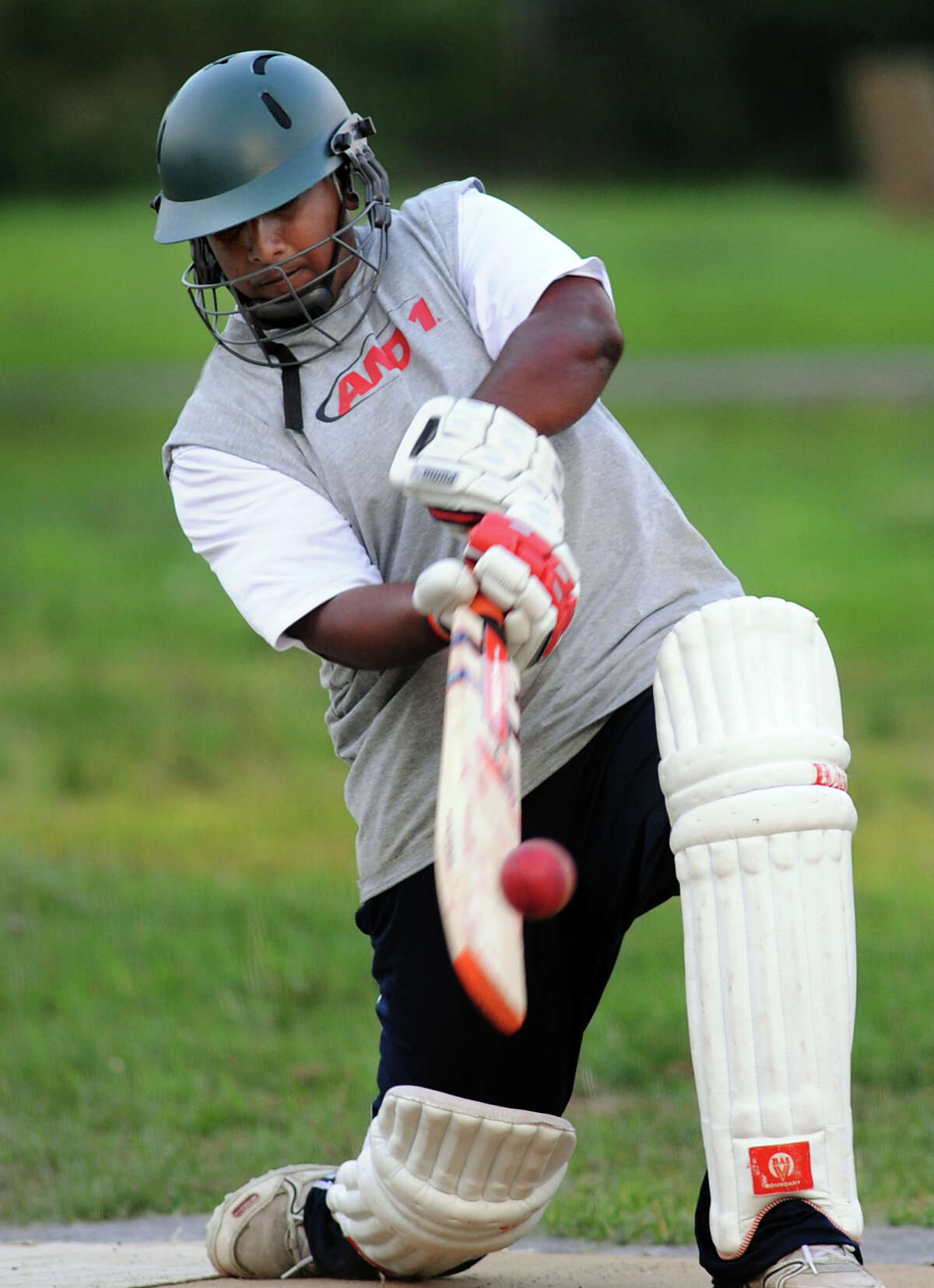 Can cricket fix ailing park?