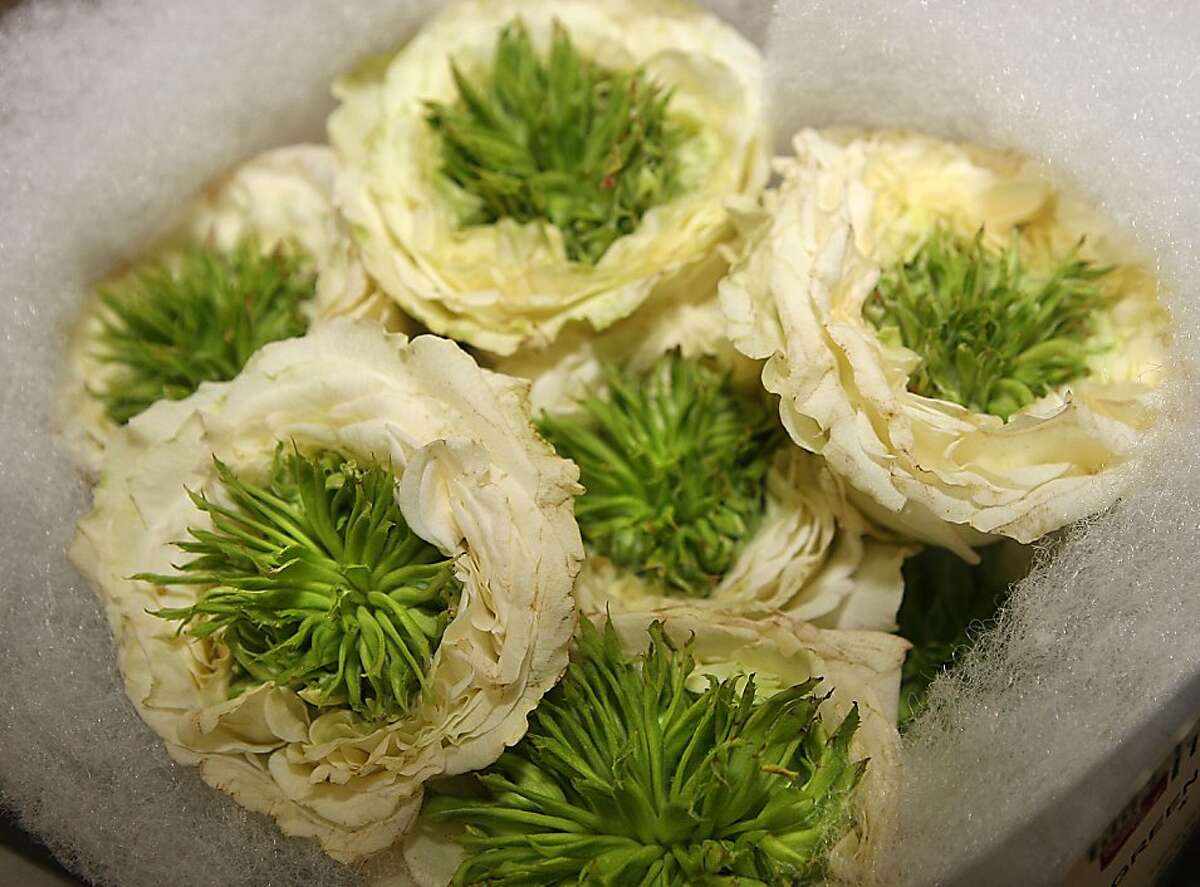 Restaurant florist tips for DIY floral designers