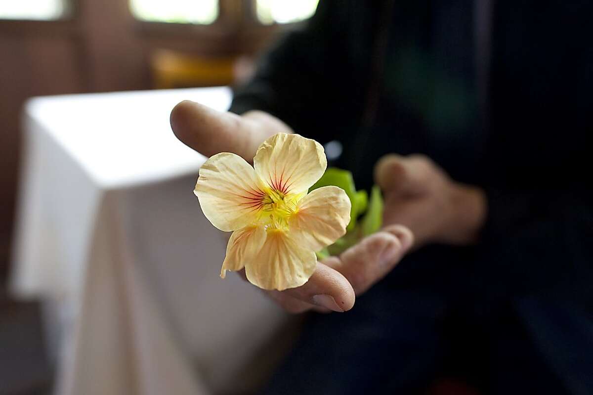 Restaurant florist tips for DIY floral designers