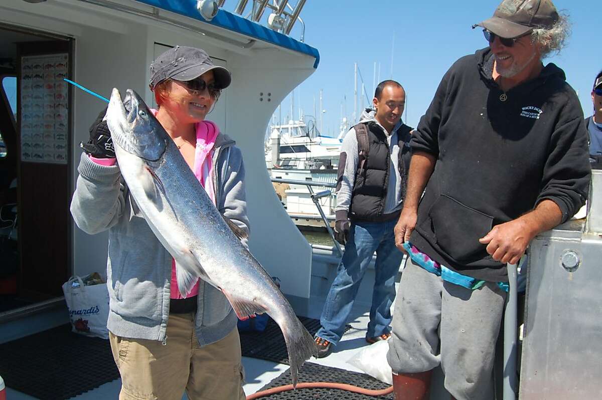Fisherman's diary along 'Salmon Highway'