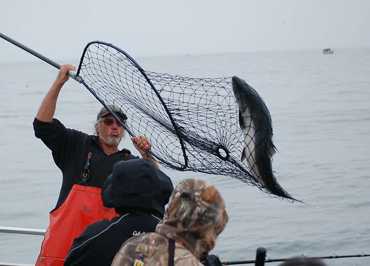 Fisherman's diary along 'Salmon Highway'