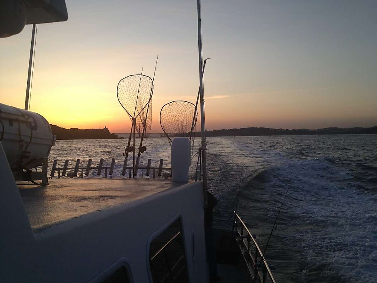 Fisherman's diary along 'Salmon Highway'