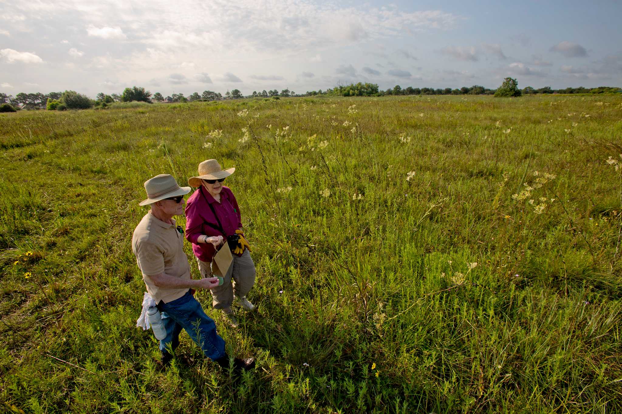 Gray: Saving a rare coastal prairie