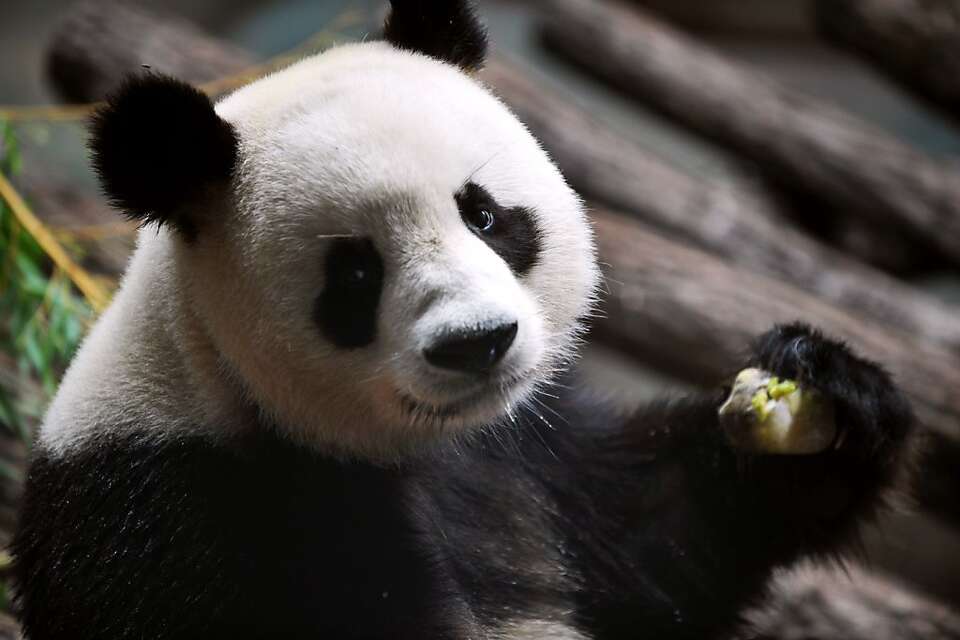 Day in Pictures, Aug. 17, 2012