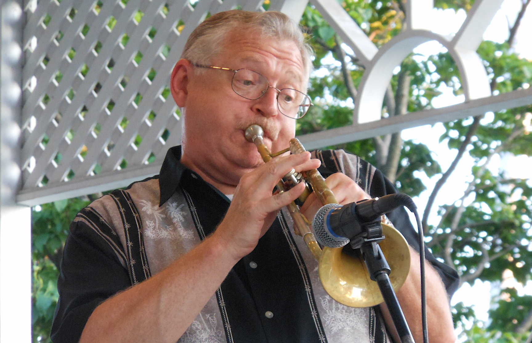 Crowd jazzed by swinging concert on Sherman Green