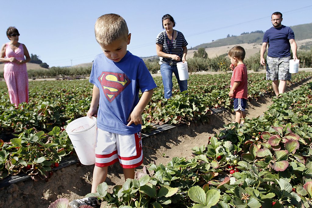 Tour farms, harvest food in Santa Cruz County