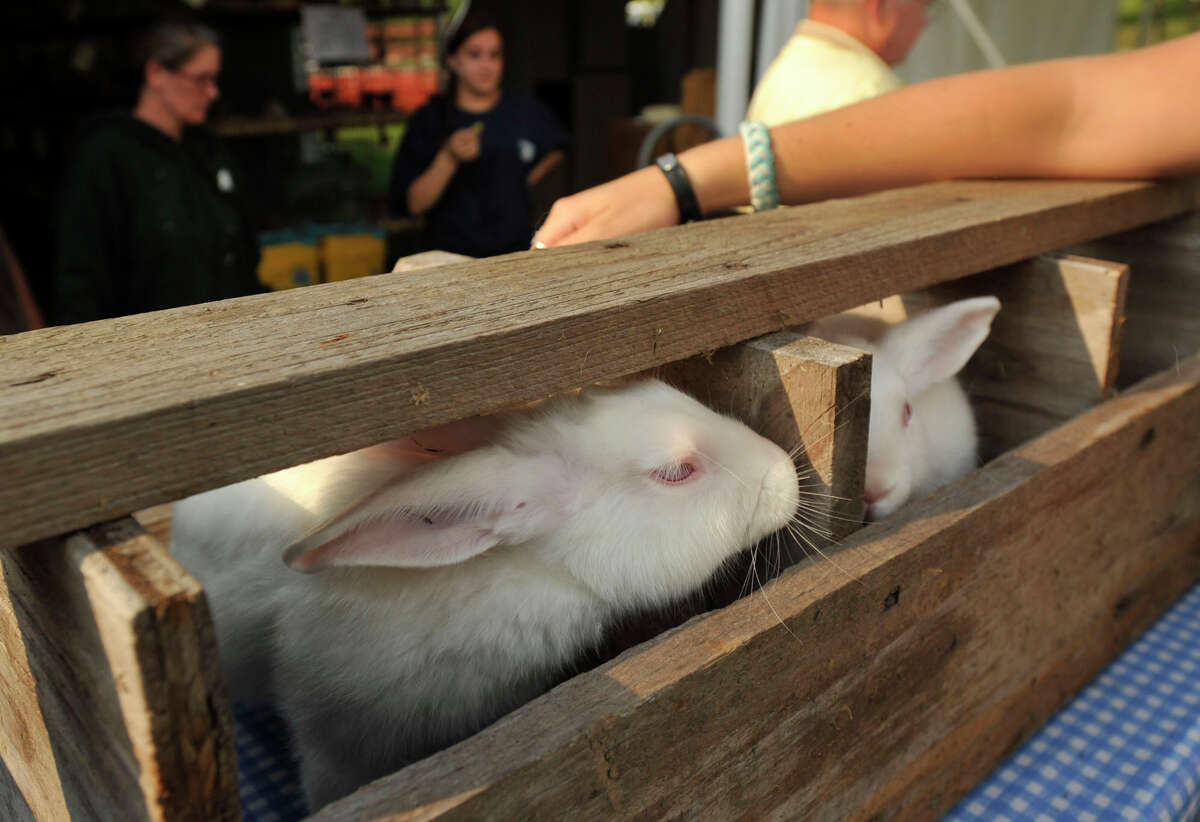 Bridgewater Country Fair