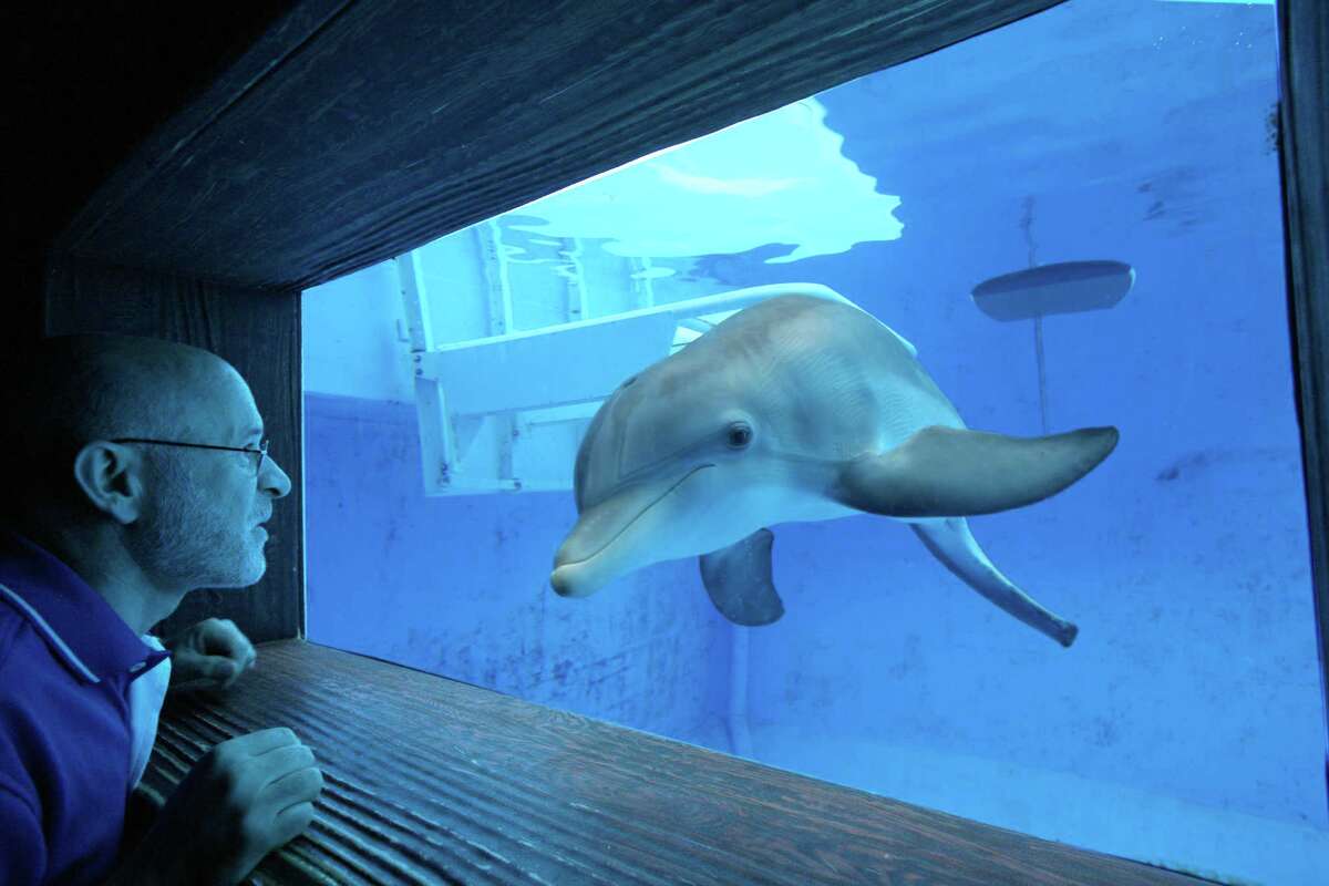 The tale of a tail, and art imitating life imitating art