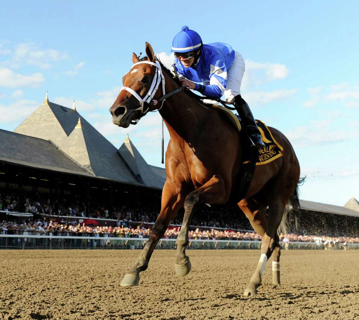 Questing scorches field