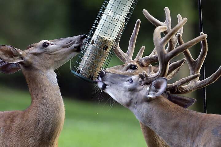 Day in Pictures, Aug. 20, 2012