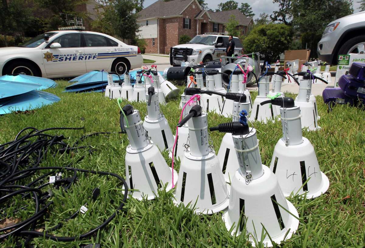 Upscale homes raided for pot growing operations