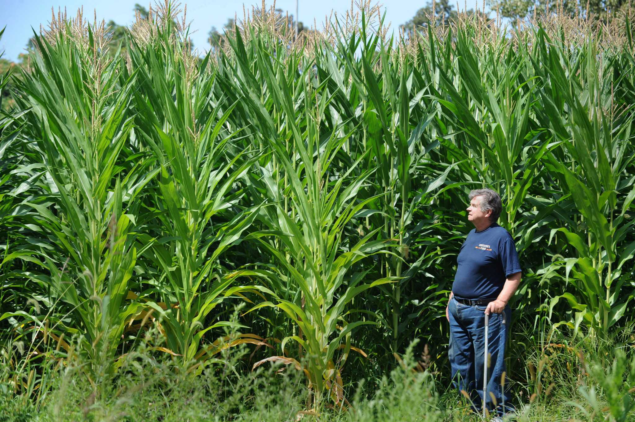 Western drought starting to squeeze Connecticut farmers