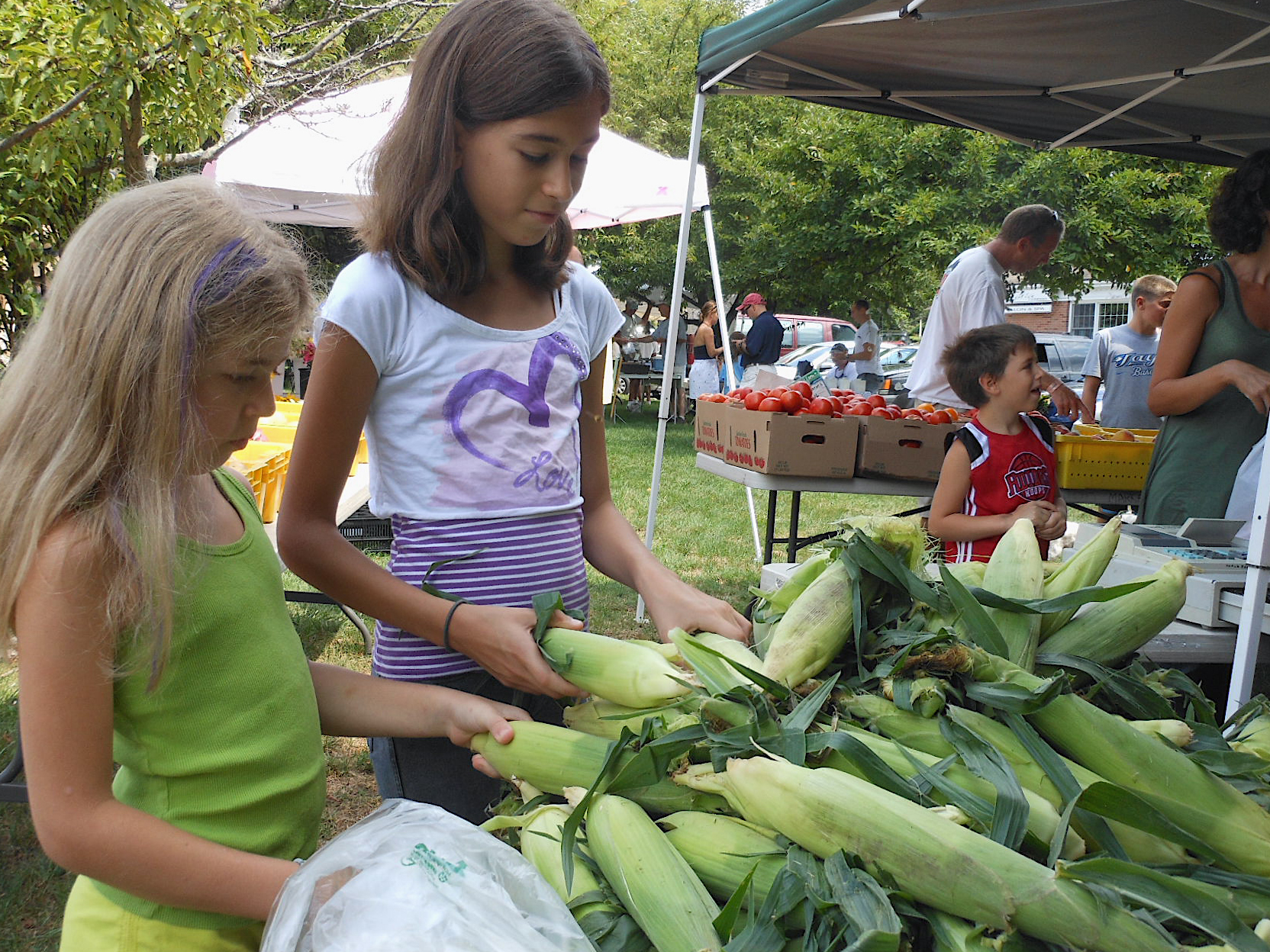 Greenfield farm market puts the 'green' in summer harvest
