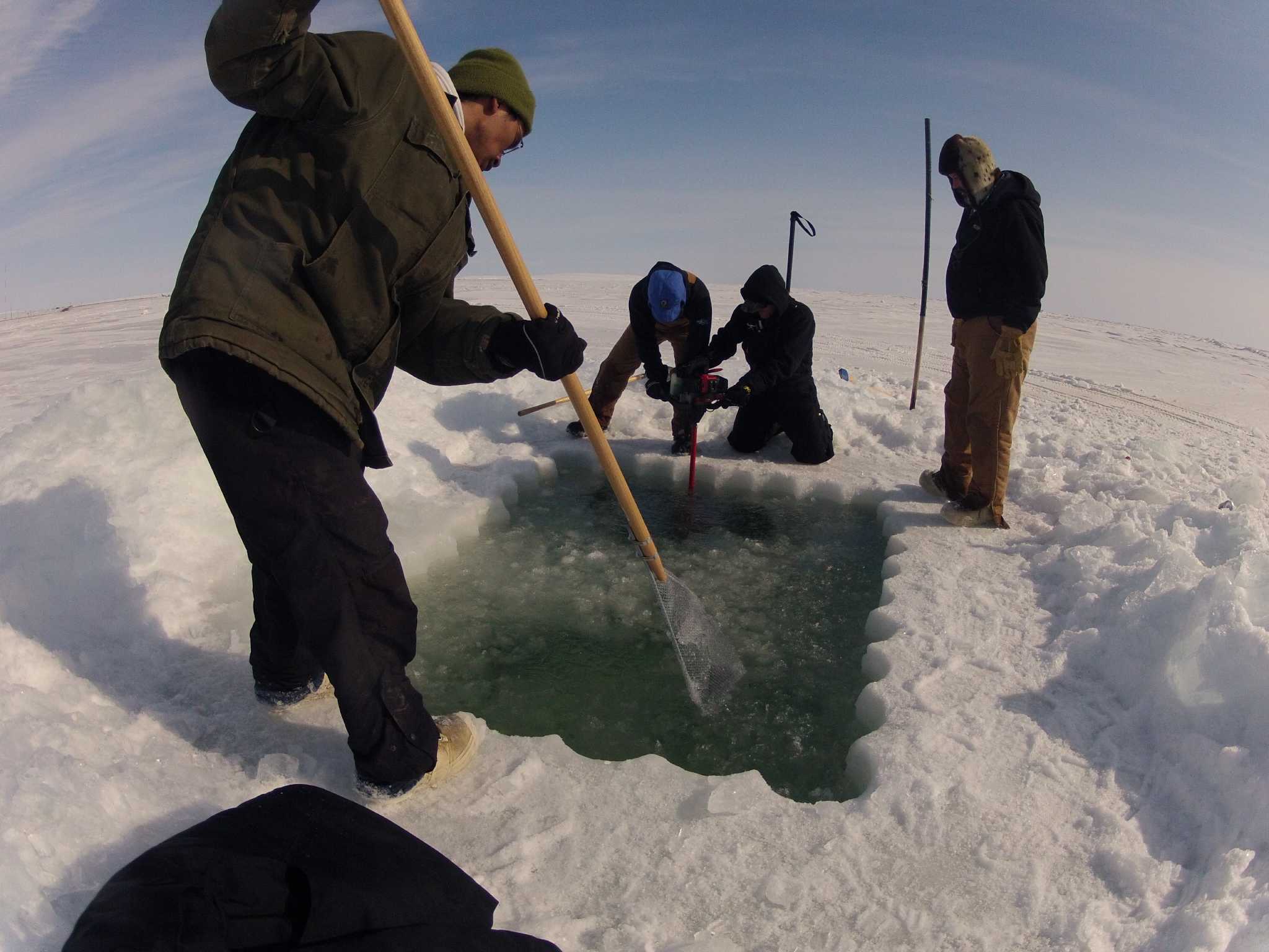 Gold divers, not diggers, on 'Under the Ice'