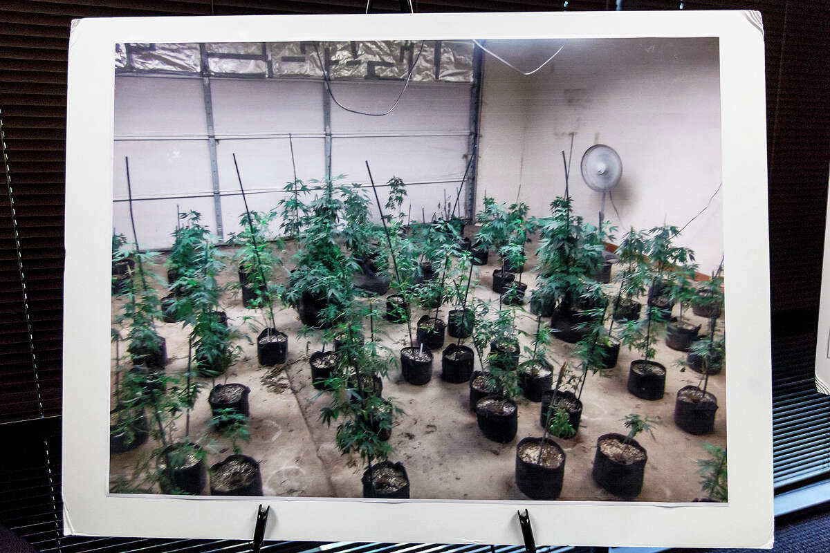 10 of 12 arrested in pot-smuggling ring