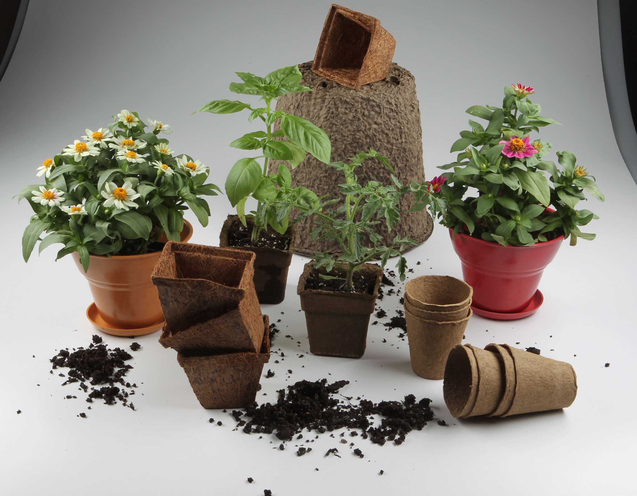 Gardeners go green with biodegradable pots